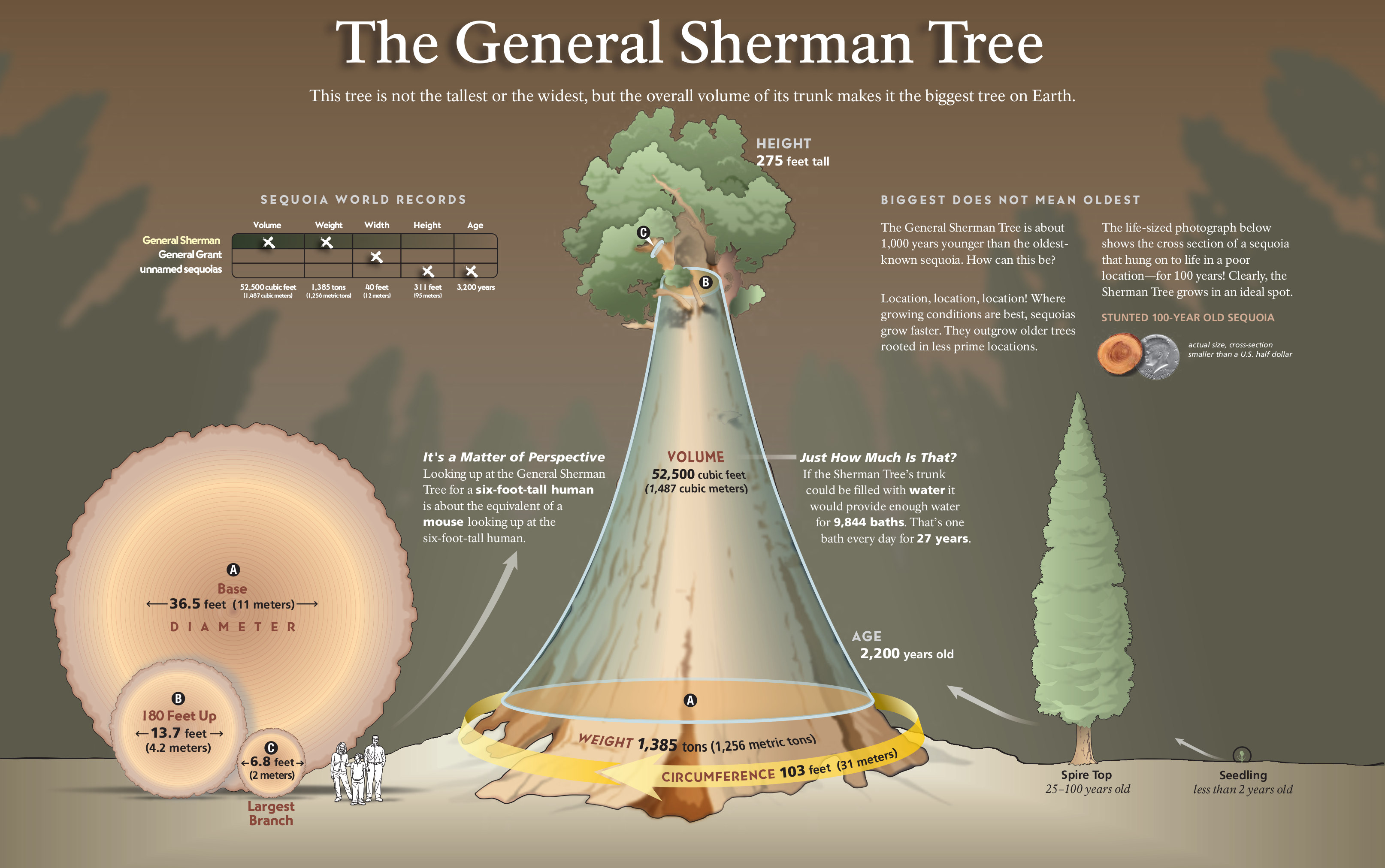 Sequoia National Park National Parks Research Guides At Ohio State